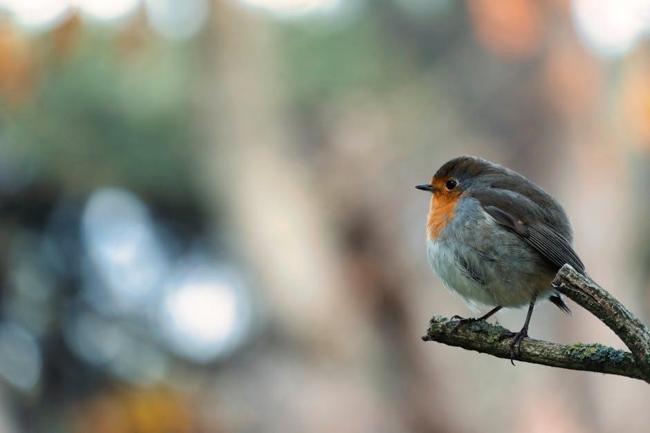 Backyard Birdsong Guide: Identify Bird Songs Near You